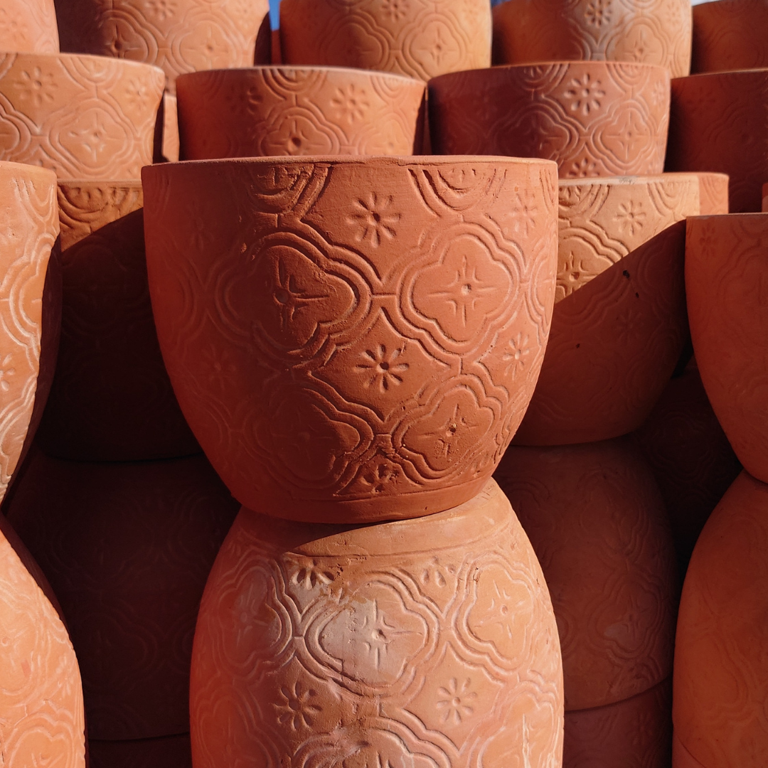 BilligBlomst – Store plantemarkeder med små priser